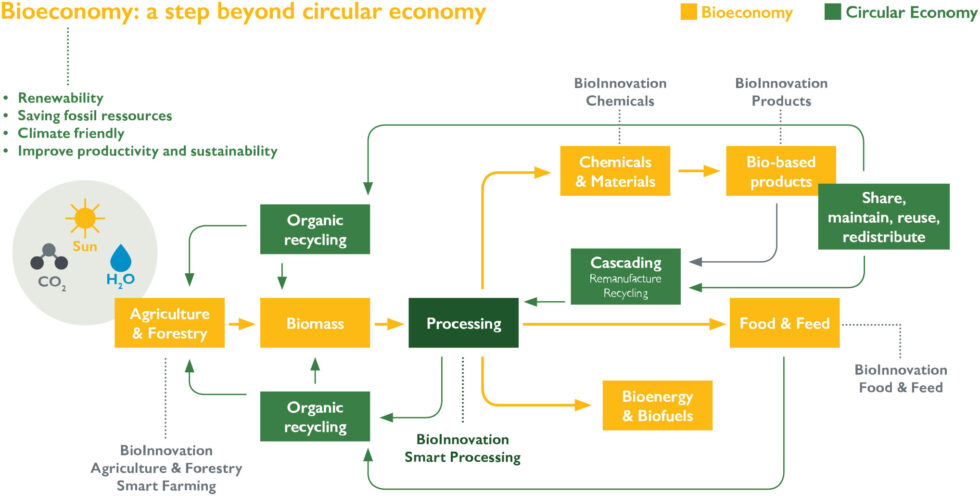 About Oleochemicals - APAG